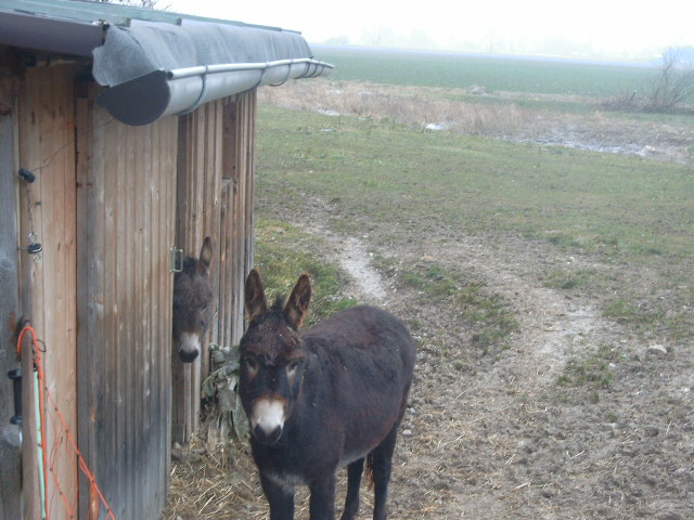Start-Seite Schwarz-Diepoltshofen